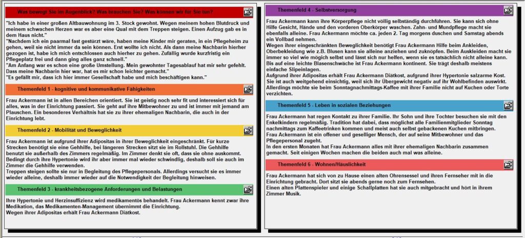 Leistungsbeschreibung SIS in mikis CareBrain